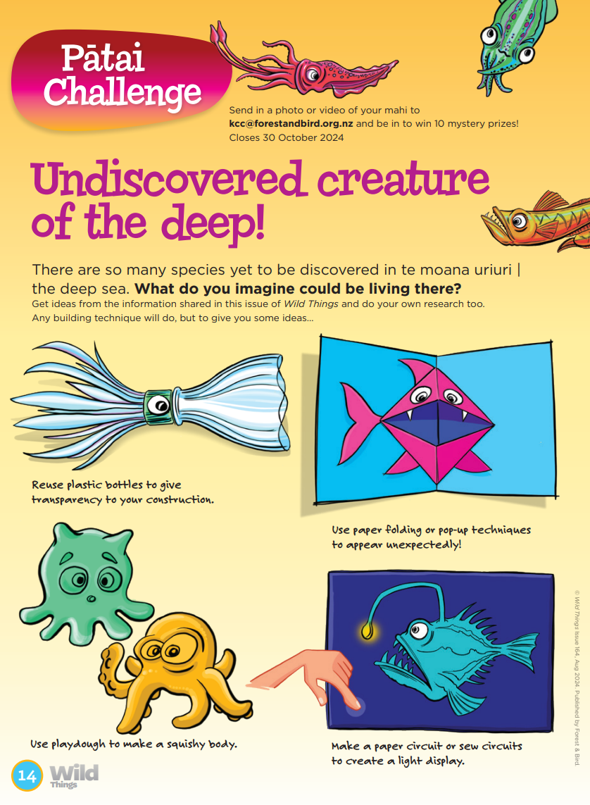 Undiscovered creature of the deep – Kiwi Conservation Club
