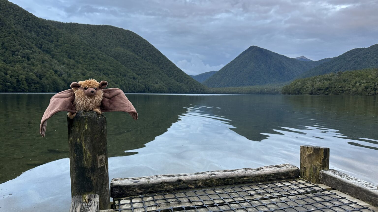 Polly visits Elsie and Harrison in Ōtautahi for Christmas 2025 – Kiwi ...